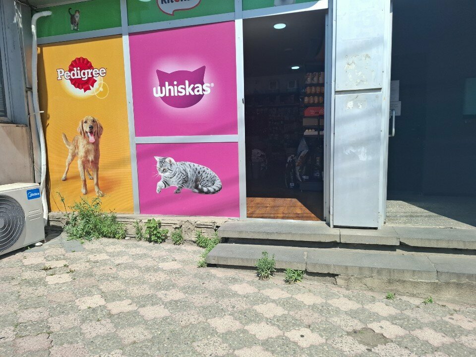 Petshop ზოო ჰაბი, Tiflis, foto