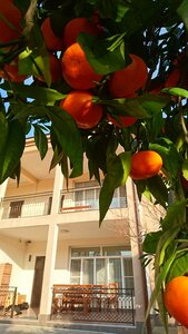 Гостевой дом У Карины (улица Демерджипа No:36), otel  Gagra'dan