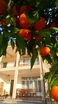 Гостевой дом У Карины (улица Демерджипа No:36), otel  Gagra'dan