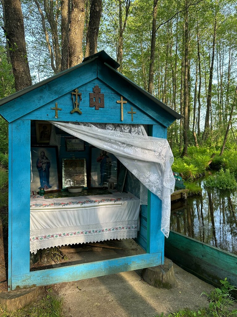 Pınar, çay Spring, stream, Gomelskaya oblastı, foto