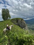 Анастасия (Katunskaya ulitsa No:15, selo Aya), at ve binicilik kulüpleri  Altayski krayından