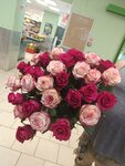 Flower Shop (Aksyonova Street No:16), çiçekçiler  Obninsk'ten