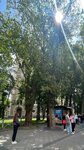 ЦПКиО (Kaliningrad, Pobedy Avenue), toplu taşıma durağı  Kaliningrad'dan