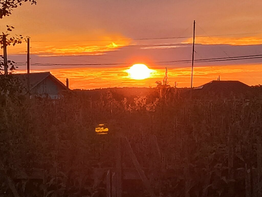 Resort oteller, tesisler Романтик, Penzenskaya oblastı, foto