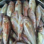 Sarı Köşk (İstanbul, Beykoz, Akbaba Mah., Maraş Cad., 5/1A), restoran  İstanbul'dan