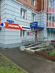 Бухгалтерские услуги (60 Let Obrazovaniya SSSR Avenue No:19), muhasebeciler  Krasnoyarsk'tan