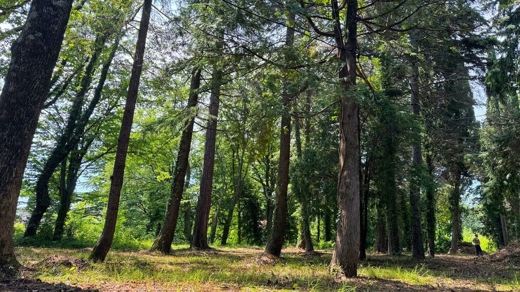 Kamp alanları Ejik camping, Soçi, foto