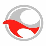 Netix (Musy Dzhalilya Street No:21/4, Sovetskiy City Administrative District, Akademgorodok Microdistrict), yazılım firmaları  Novosibirsk'ten