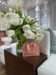 Studiya krasoty Monaco (ulitsa Gastello No:71), güzellik salonu  Vladikavkaz'dan