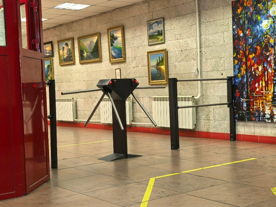 Güvenlik ve alarm sistemleri Grad Bezopasnosti, Moskova, foto