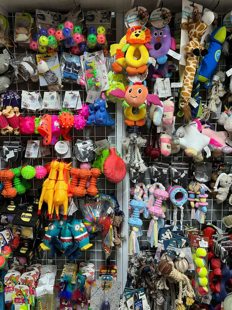 Petshop Naz Petshop, Bodrum, foto