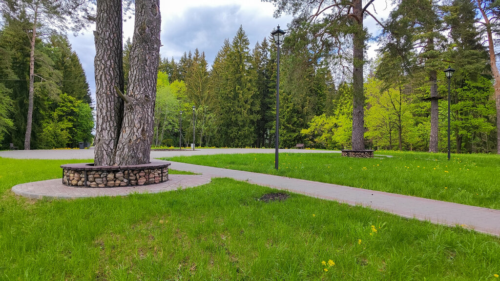 Kültür ve eğlence parkları liesapark 40-goddzia Pieramogi, Senno, foto