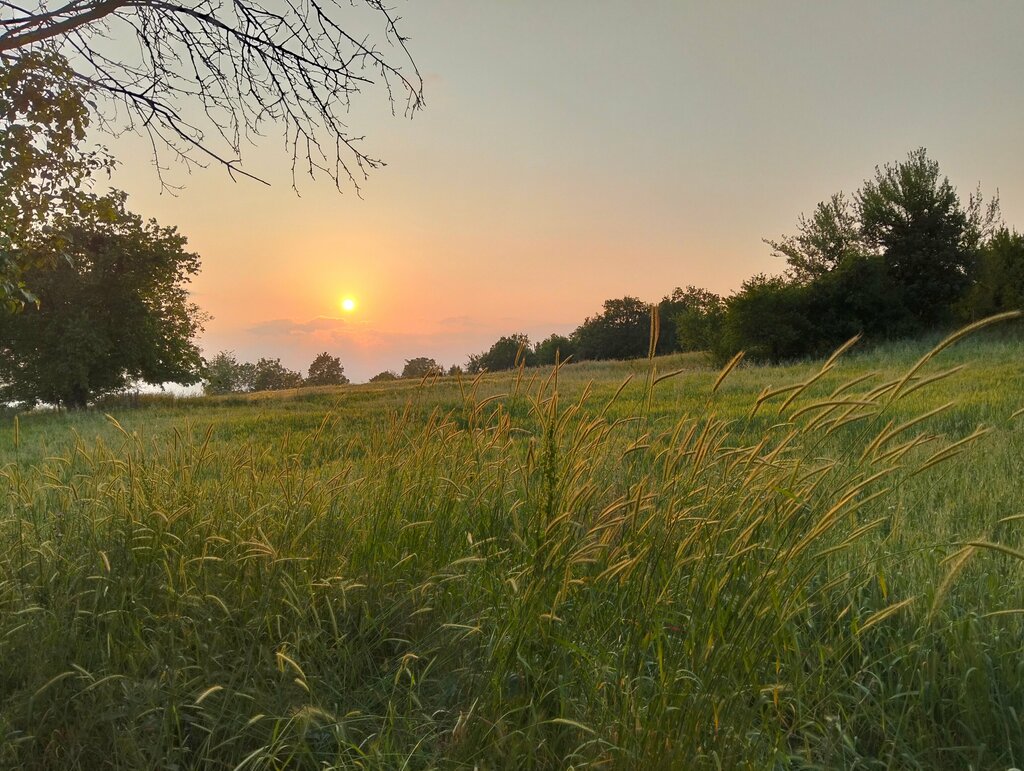 Cami Kırha Köyü Cami, Bolu, foto