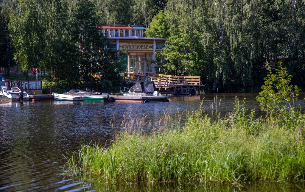 i̇skele Jetty , Saint‑Petersburg ve Leningradskaya oblastı, foto