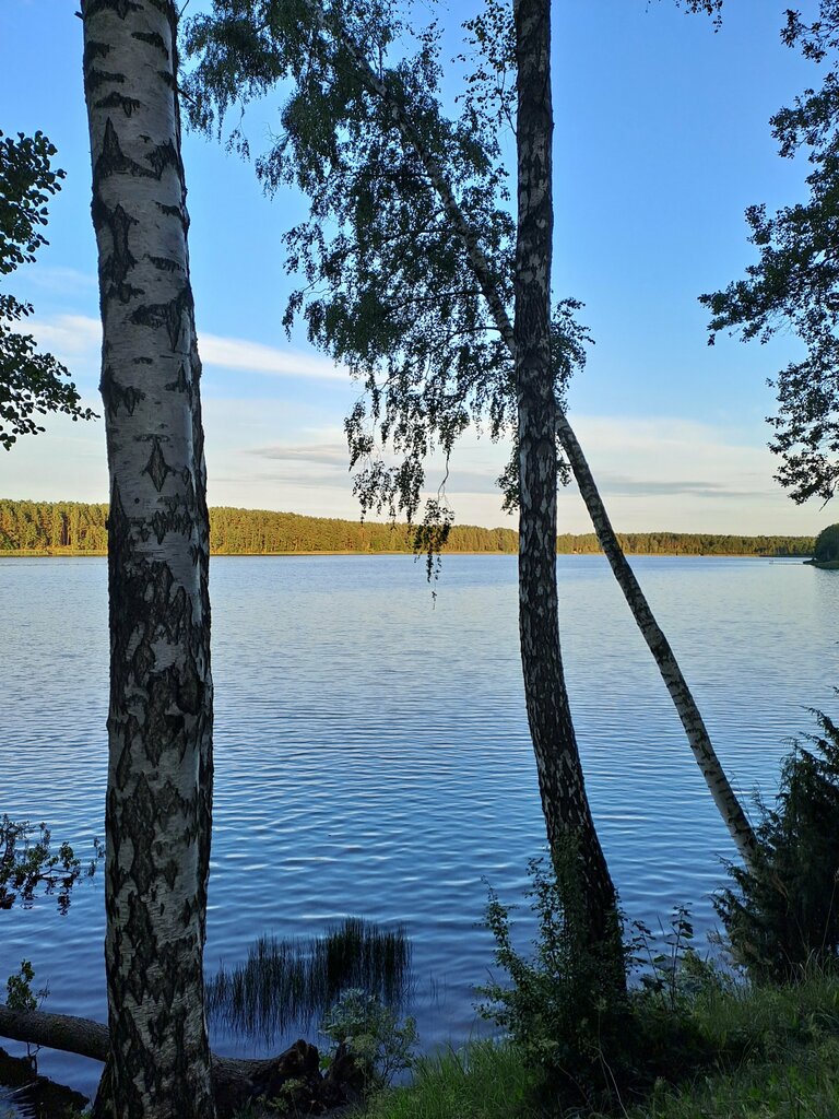 Resort oteller, tesisler База отдыха Высокий берег ОАО Гродненский мясокомбинат, Grodnenskaya oblastı, foto