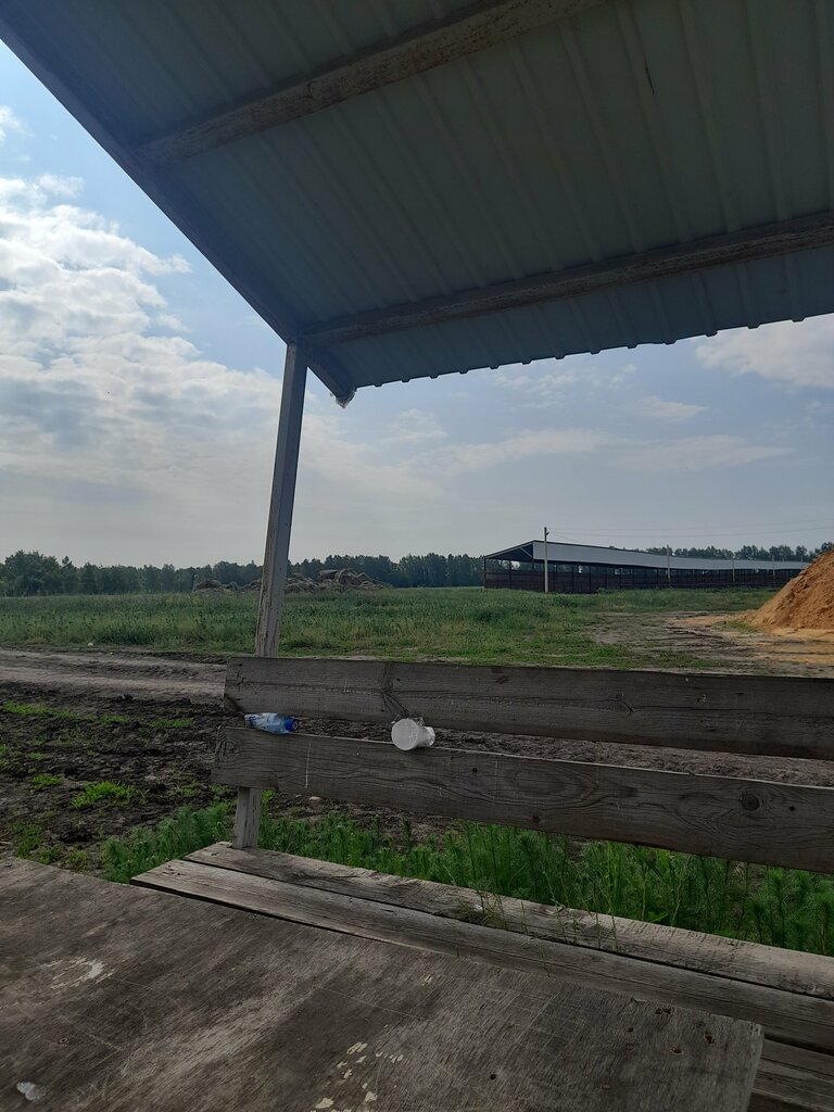 Hayvancılık КолоСС, Lipetskaya oblastı, foto