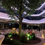 Erma Yapay Bitkiler ve Dekorasyon (İstanbul, Sancaktepe, Meclis Mah., Kongre Cad., 19A), bahçecilik mağazaları  İstanbul'dan