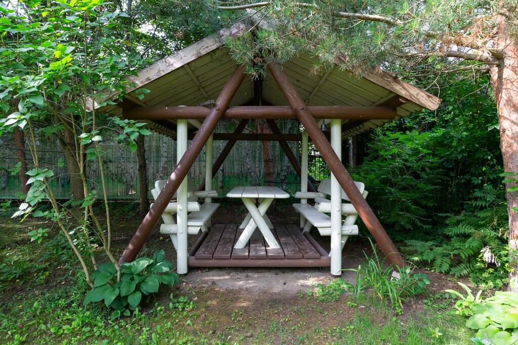 Konuk evi Лазурный Берег, Moskova ve Moskovskaya oblastı, foto