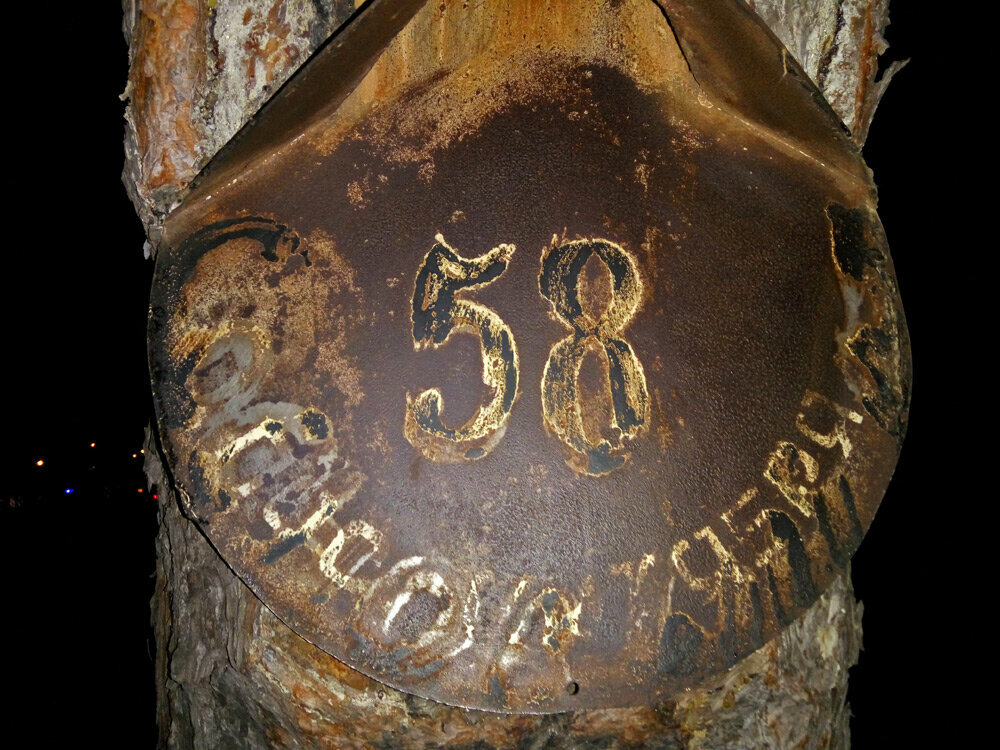 Anıt, heykel Сосновый пр-т 58, Moskova, foto