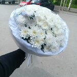 Цветы (Komsomolskaya Street No:28), çiçekçiler  Kandalaksha'dan