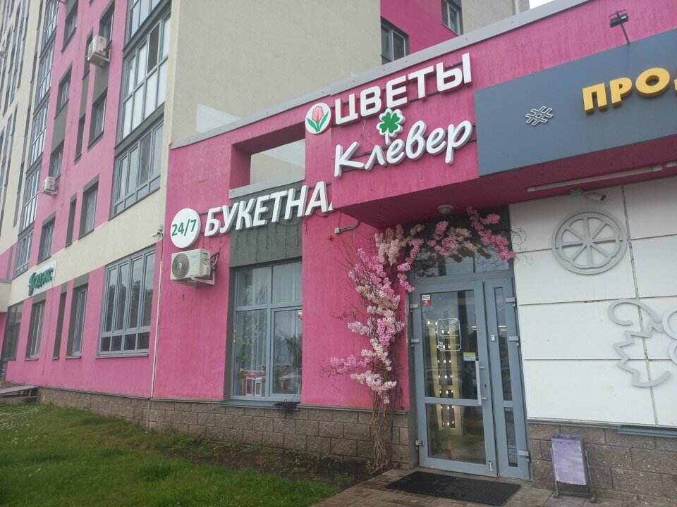 Çiçekçiler Клевер, Ufa, foto