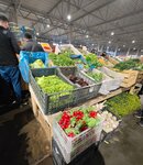 Софийская овощебаза (Sofiyskaya Street No:151с2), toptan sebze ve meyve satışı  Saint‑Petersburg'dan