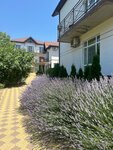 Лавандовый дворик (Sovetskaya ulitsa No:42, Arkhipo-Osipovka Village), resort oteller, tesisler  Krasnodarski krayından