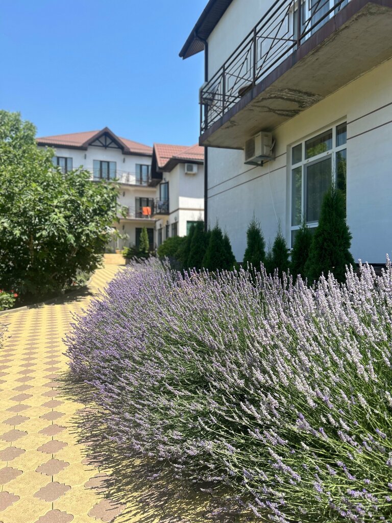 Resort oteller, tesisler Лавандовый дворик, Krasnodarski krayı, foto