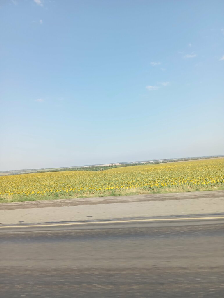 Hava meydanı аэродром Роcтов М-4, Rostovskaya oblastı, foto