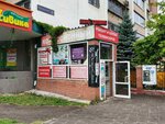 Kitbike (Komsomolskiy prospekt No:62), fitness ve spor ekipmanı firmaları  Çeliabinsk'ten