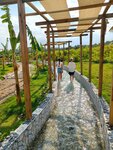 Wonder garden (Antalya, Serik, Zırlankaya Mah., Etler 6 Sok., 6), çiftlik tatili  Serik'ten