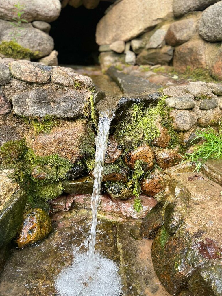 Pınar, çay Spring, stream, Saint‑Petersburg ve Leningradskaya oblastı, foto