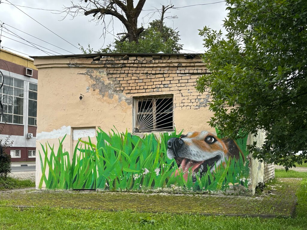 Sokak sanatı Граффити Собака, Tver, foto