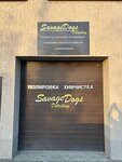 Savage Dogs (Zavodskaya street No:14/3, selo Michurinskoye), detaylı oto bakımı  Batı Kazakistan eyaletinden