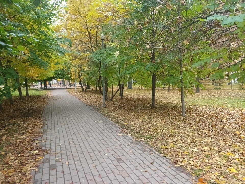 Parklar ve ormanlar Макаринская Роща, Cherepovets, foto