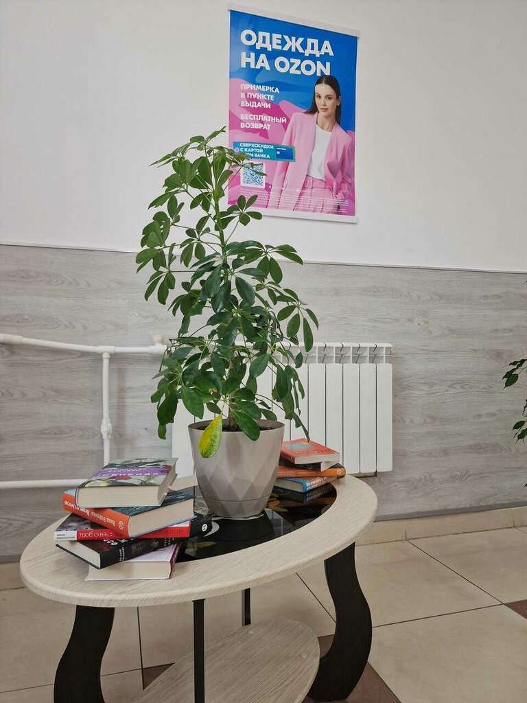 Teslimat noktası Авито, Novomoskovsk, foto