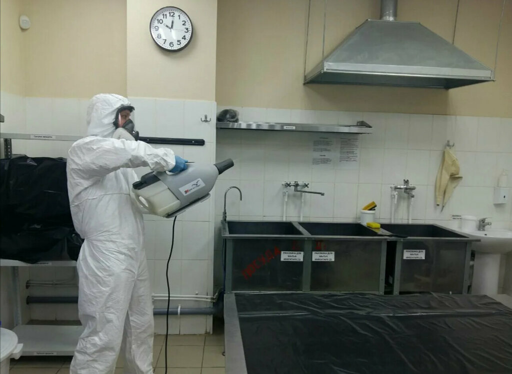 Haşere ilaçlama firmaları Dalvostok, Moskova, foto