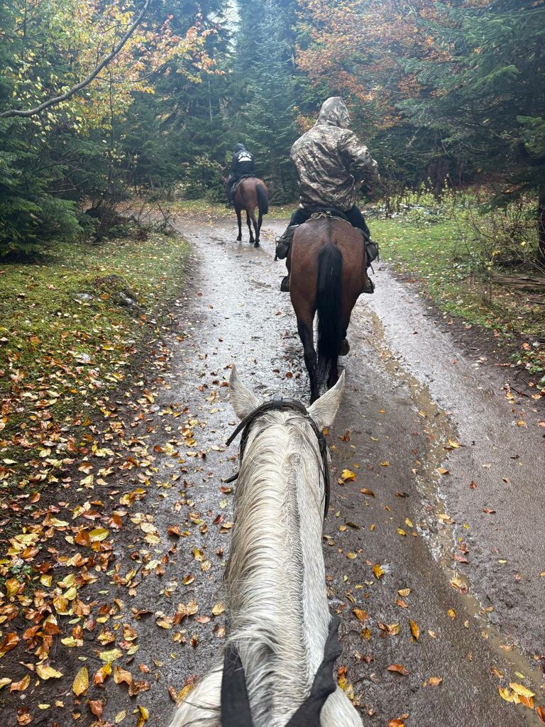 At ve binicilik kulüpleri Konnyetury. rf, Karaçay‑Çerkez Cumhuriyeti, foto
