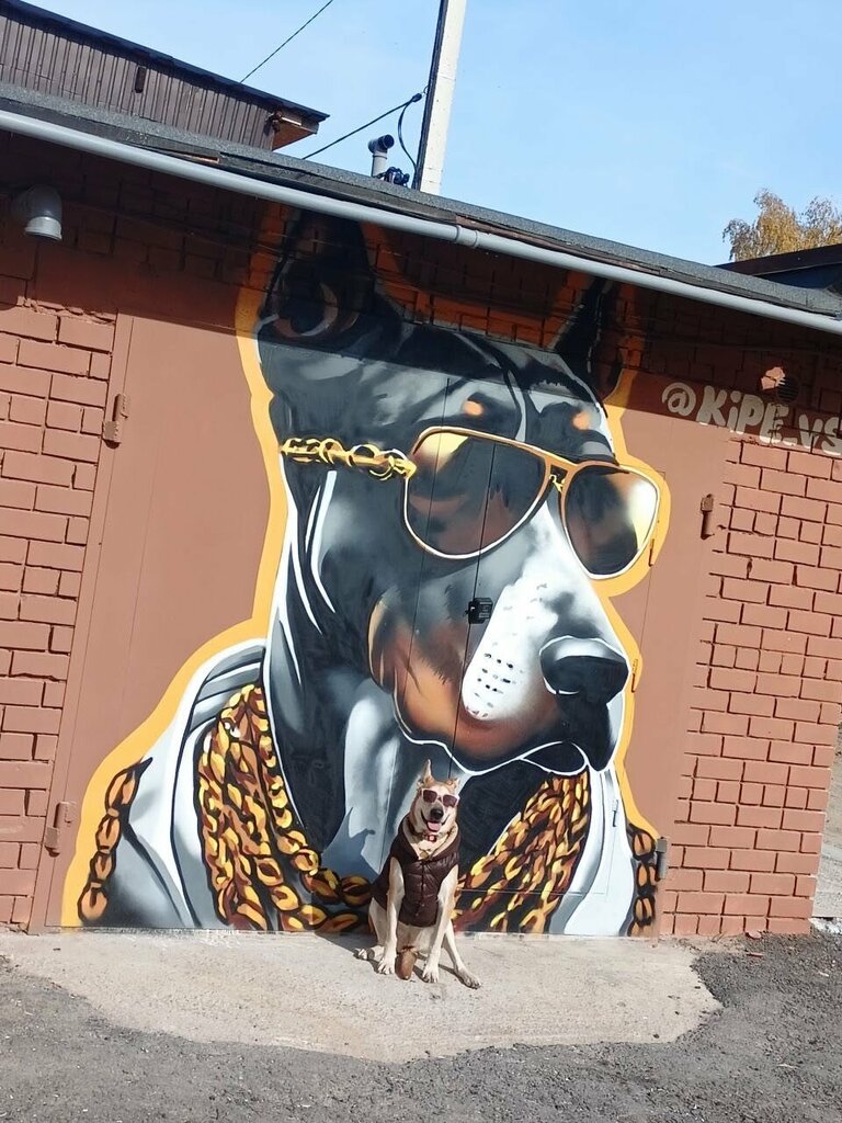 Köpek gezdirme alanları Dog park, Zelenodolsk (Yeşel Üzen), foto