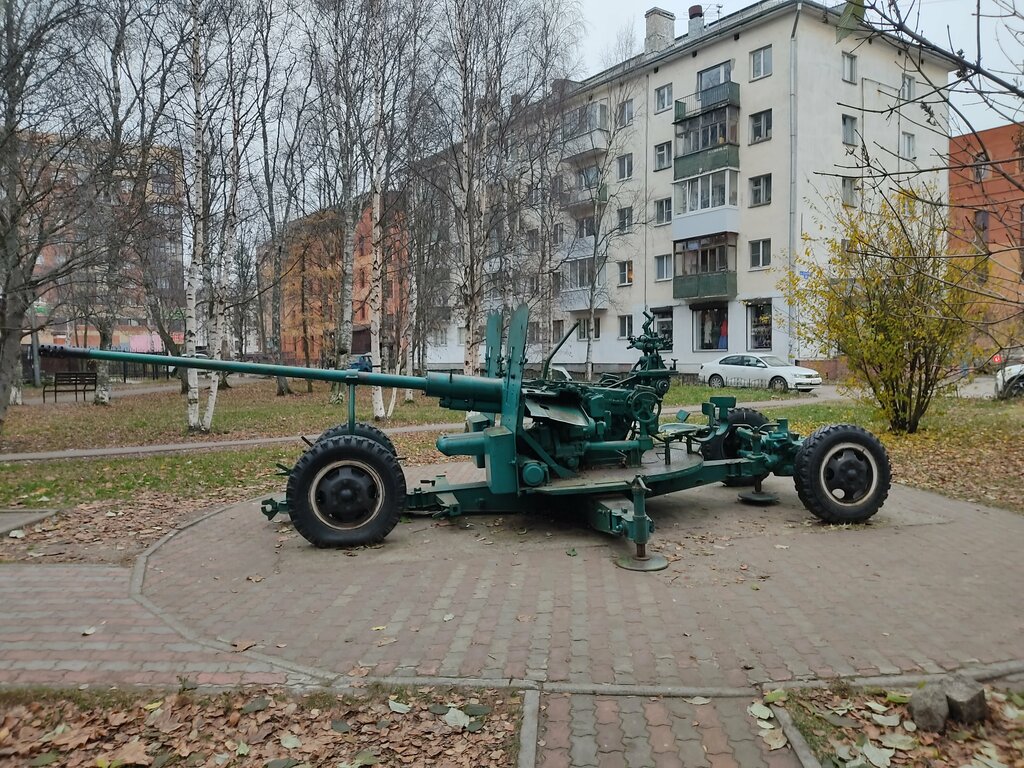 Teknoloji anıtı Зенитное орудие АЗП-57, Arhangelsk, foto