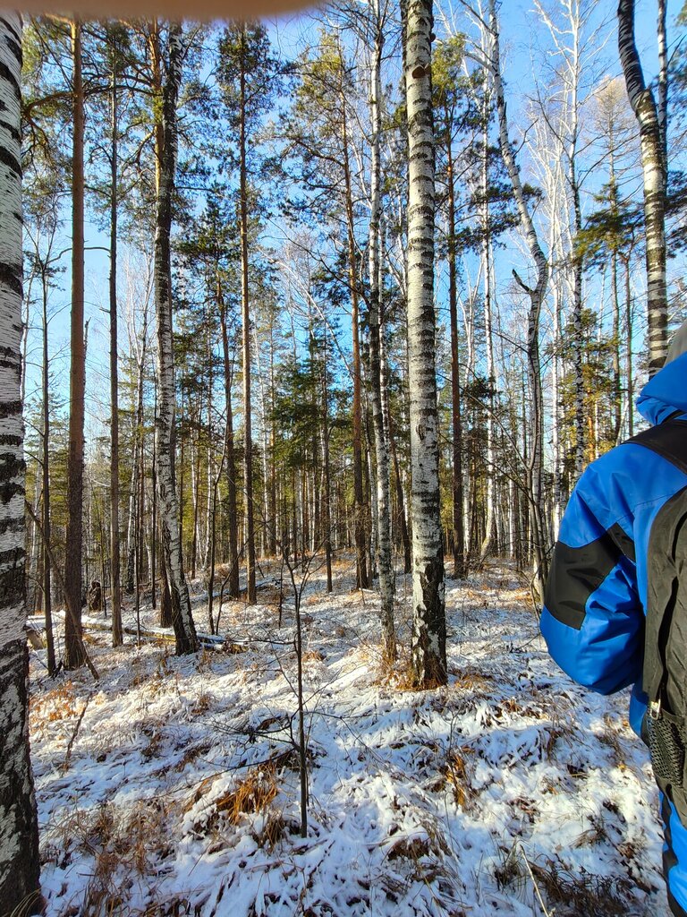 Dağ zirvesi Гора Михаила Кузьмина 350 метров, Yekaterinburg, foto