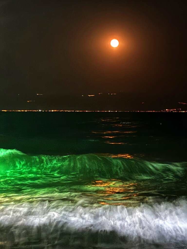 Restoran Altınoluk Balıkçısı, Edremit, foto