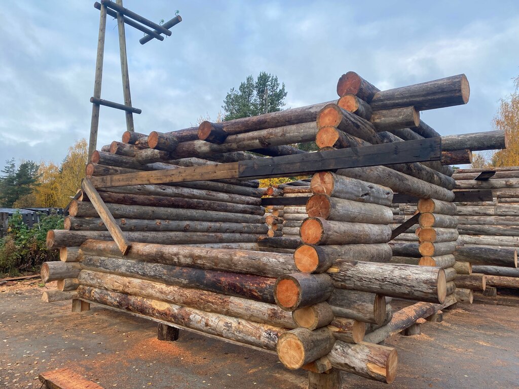 Hamam ve sauna inşaatı Kelovolterra, Medvezhyegorsk, foto