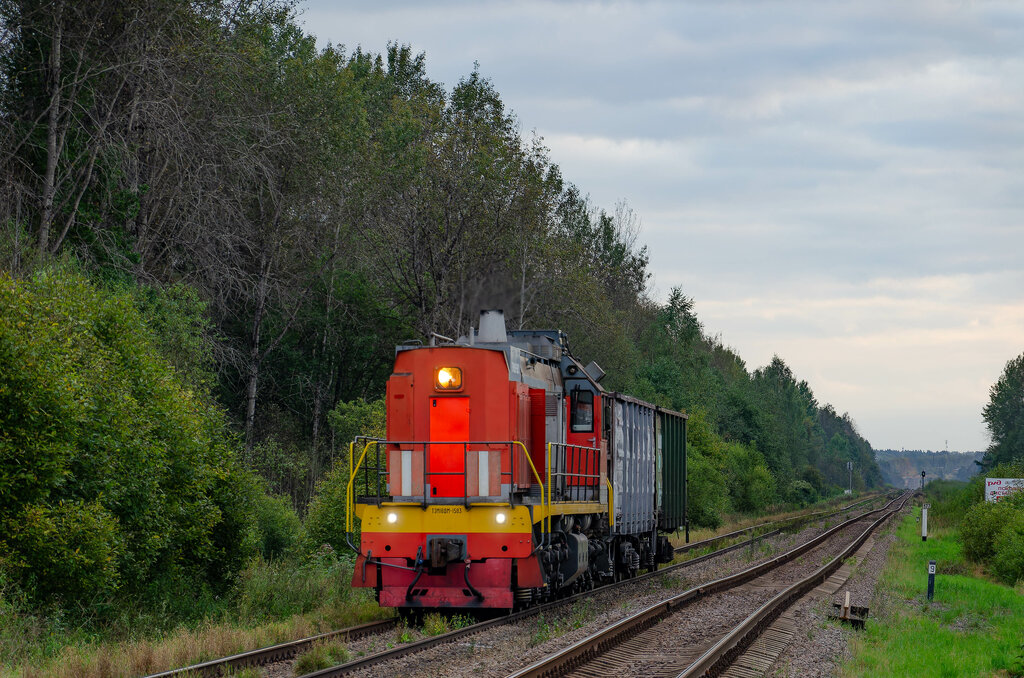 Tren istasyonu остановочный пункт Малый Лужок, Pskovskaya oblastı, foto
