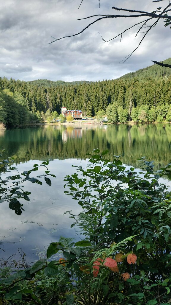 Parklar ve ormanlar Karagöl Sahara Milli Parkı, Şavşat, foto
