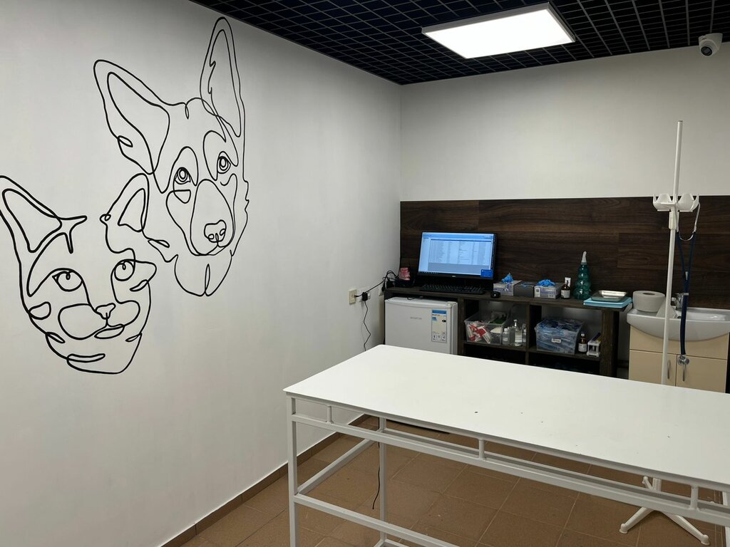 Veteriner klinikleri Umka Pro, Çeliabinsk, foto