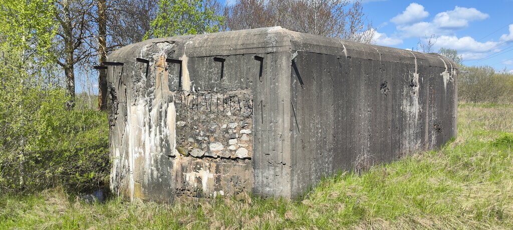 Turistik yerler Долговременная огневая точка, Pskovskaya oblastı, foto