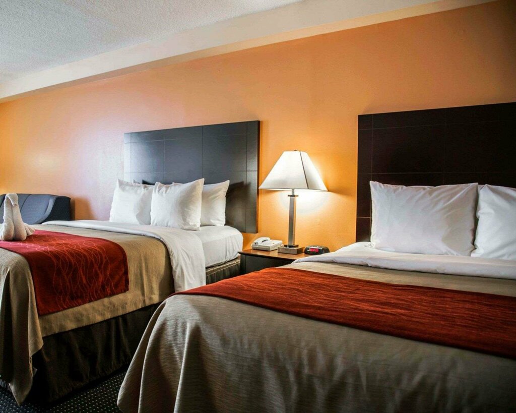 Otel Comfort Inn International Dr, Orlando, foto