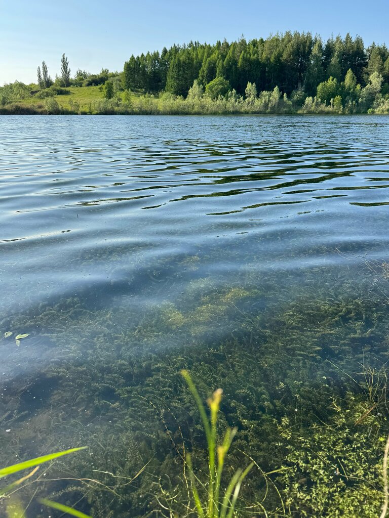 Avcılar ve balıkçılar Платная рыбалка, Çuvaşya, foto