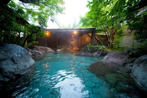 Yufuin Hoteiya (Oita Prefecture, Hayami District, Town of Hiji), otel